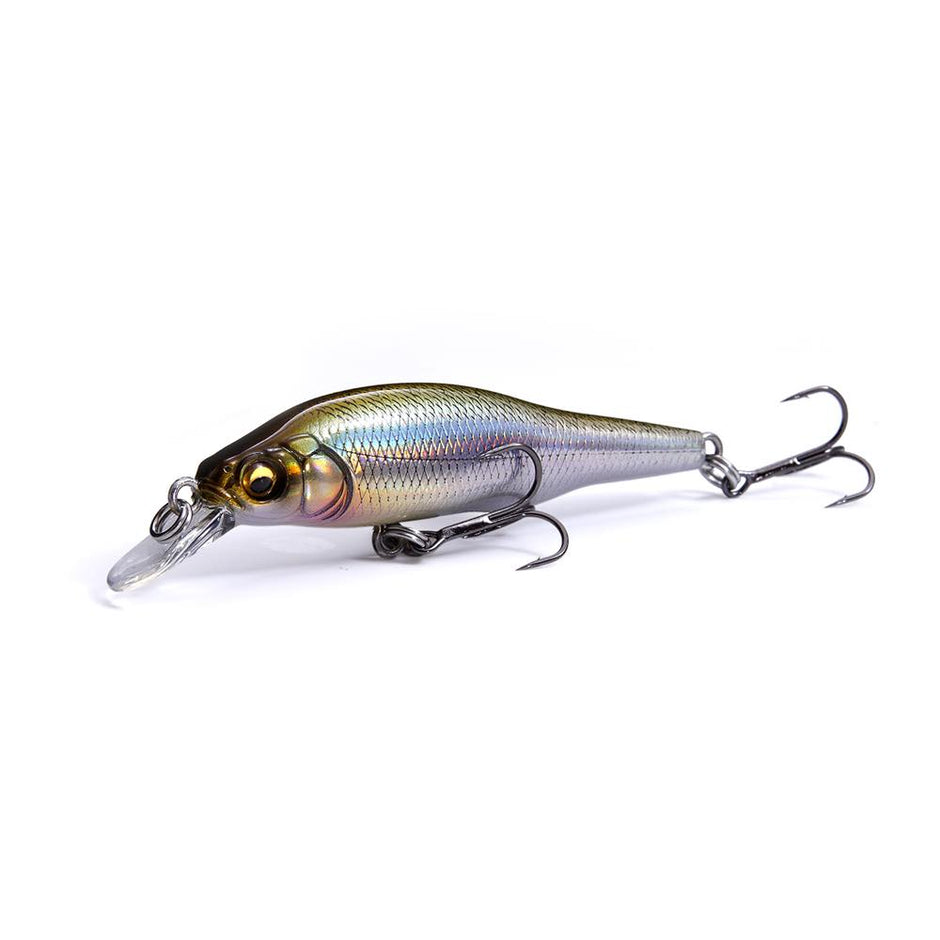Minnow – MINAMI