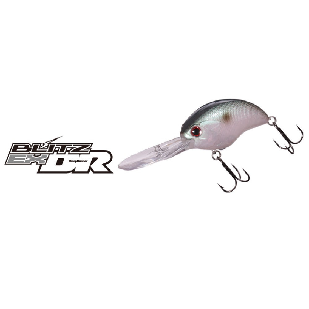 BLITZ EX-DR - O.S.P – MINAMI