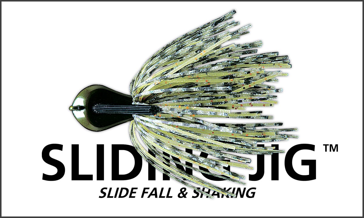 SLIDING JIG 1/4oz - deps – MINAMI