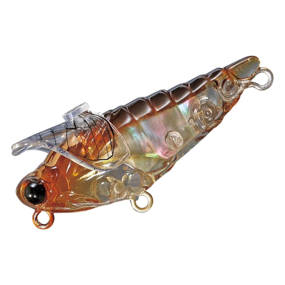 DAIBISEN SHELL - SMITH – MINAMI